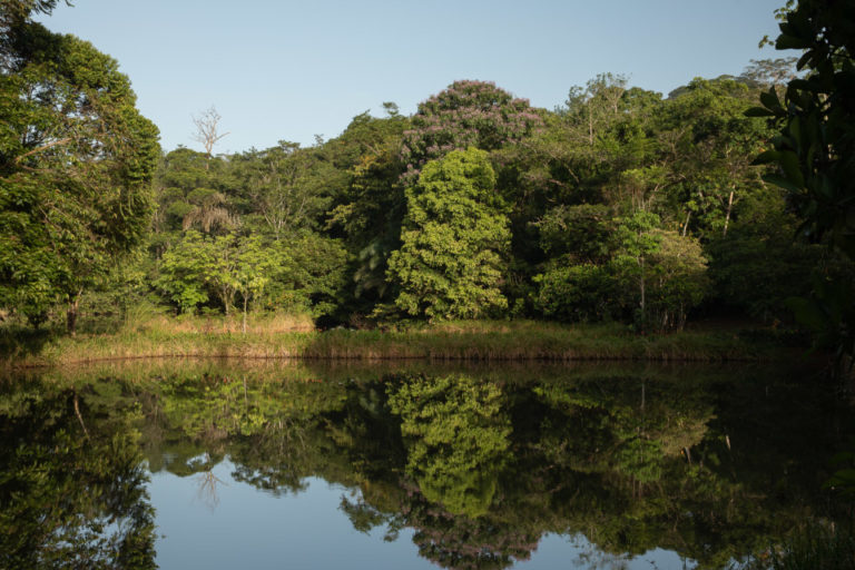 Guided nature hike at Lapa verde Reserve – Sarapiquí Adventures Costa Rica